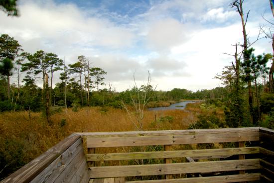 Outer Banks Hidden Treasures - Southern Shores Realty | Blog